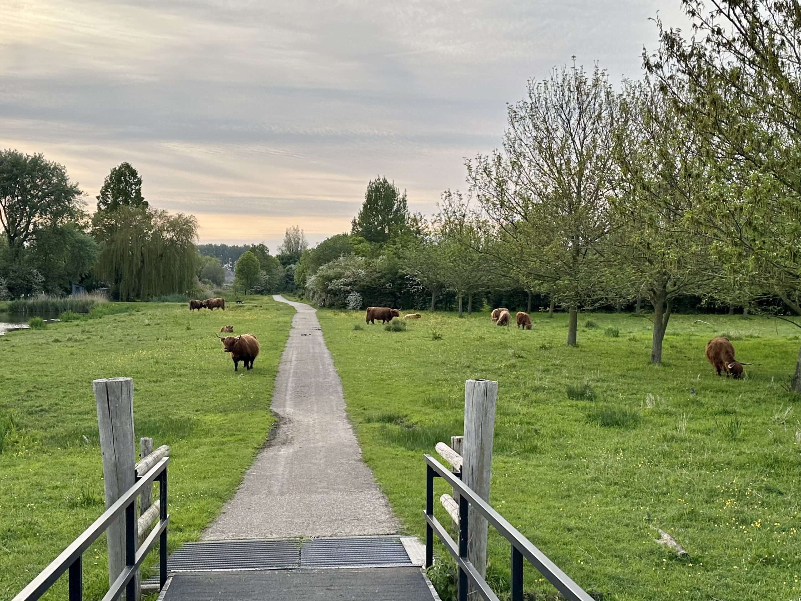 Animals of the Netherlands – Steven Can Plan